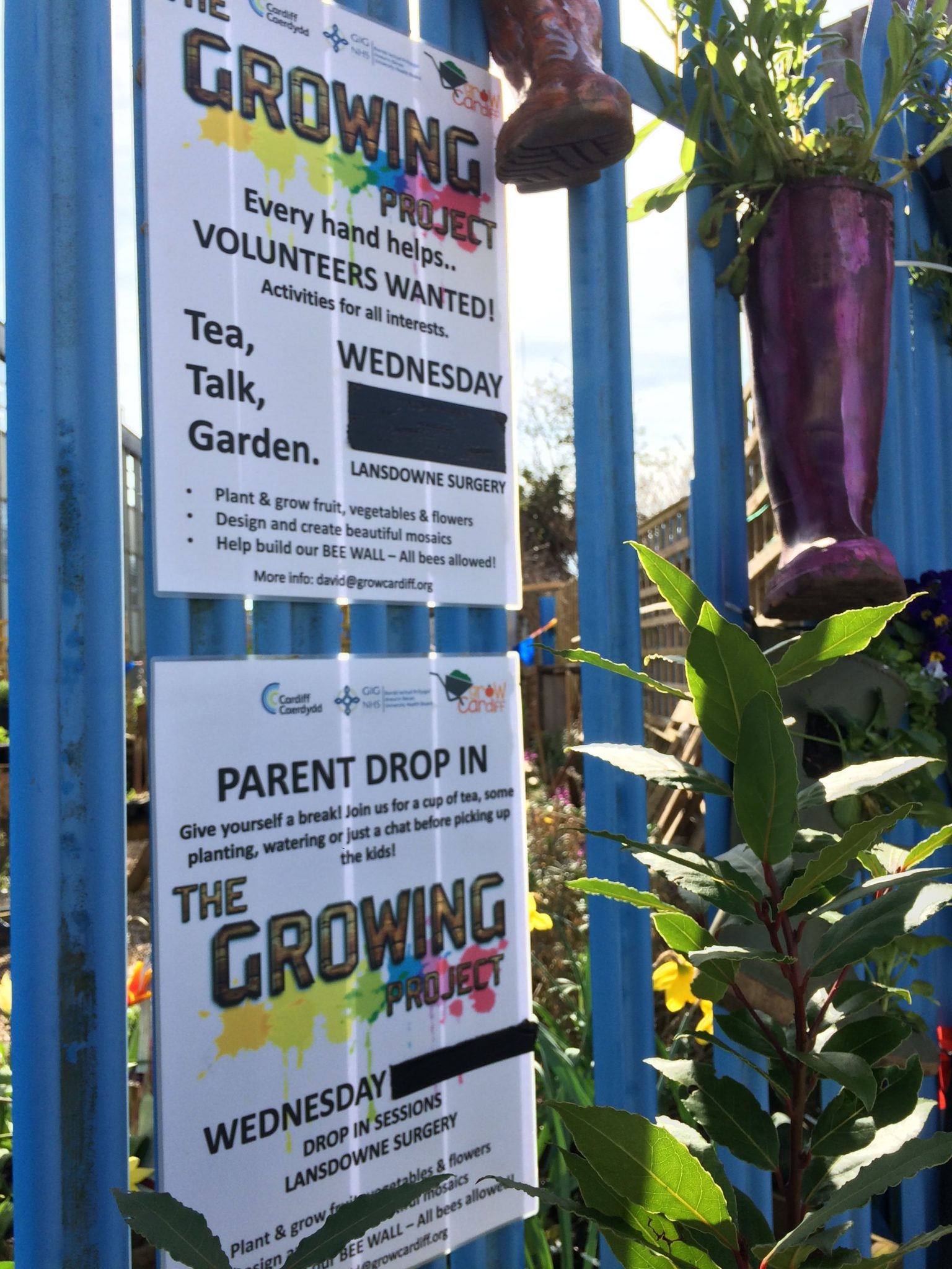 The Grow Well Project – Community gardening on Sanatorium Road - The ...
